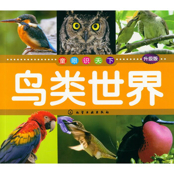 童眼识天下--鸟类世界(升级版)