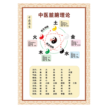 中医宣传画挂图中药配伍禁忌歌十八反十九畏歌脊柱图墙贴画WSA WSA35 中医脏腑理论 120*80厘米 覆膜防水PP贴纸