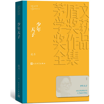 茅盾文学奖获奖作品全集：少年天子
