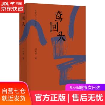 【正版图书】鸢回头 刀尔登 山西人民出版社