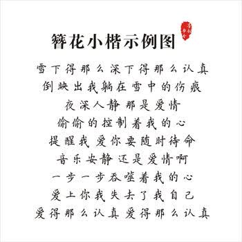 2021年公务员申论范文考试字帖国考公考练字成年行楷硬笔临摹钢笔 I78-簪花小楷-临摹版本