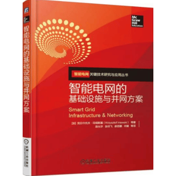 智能电网的基础设施与并网方案