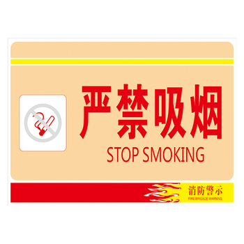 定制消防安全标志牌警示标识牌消火栓水泵接合器提示牌标示牌TEP75 TEP75-27 严禁吸烟 30*20厘米 覆膜防水PP贴纸