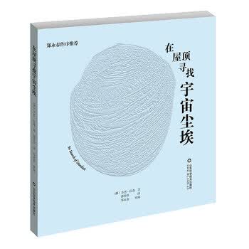 在屋顶寻找宇宙尘埃