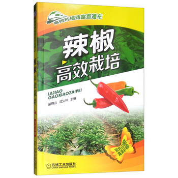 辣椒高效栽培