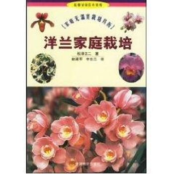 洋兰家庭栽培//温馨家园花卉装饰(7)