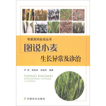图说小麦生长异常及诊治