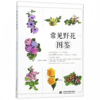 常见野花图鉴
