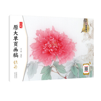 工笔画原大单页画稿牡丹 中国画白描入门篇 国画临摹画册 线描画册 临摹 手绘描摹本绘画 工笔画临摹画册 国画入门 工笔白描底稿临摹本