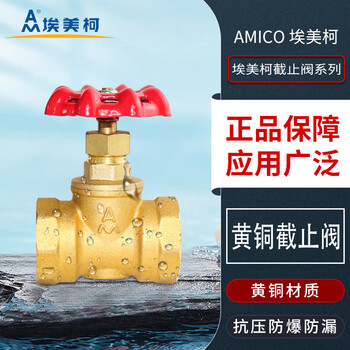 【AMDN15】AM 埃美柯169黄铜闸阀 Z15W-16T内螺纹闸阀自来水阀门 DN25/1寸【行情 报价 价格 评测】-京东