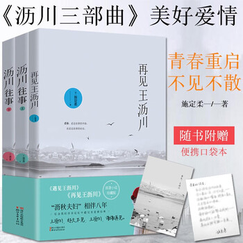 沥川往事+再见王沥川3册2018新版 施定柔作品小陈铭章导演电视剧《遇见王沥川》 电视剧爱情小说书籍