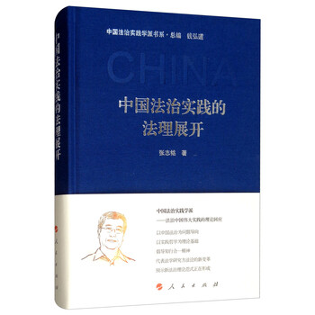中国法治实践的法理展开