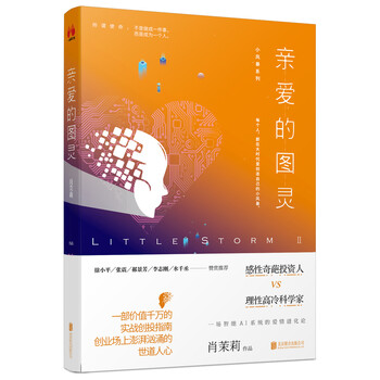 小风暴系列2：亲爱的图灵