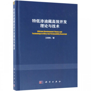 特低渗油藏高效开发理论与技术(精)