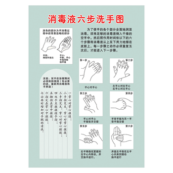 餐饮服务从业人员医院洗手消毒流程图步骤图程序方法墙贴画挂图覆膜防水贴纸TXH TXH01 洗手液六步洗手图 70*50厘米 覆膜防水PP贴纸