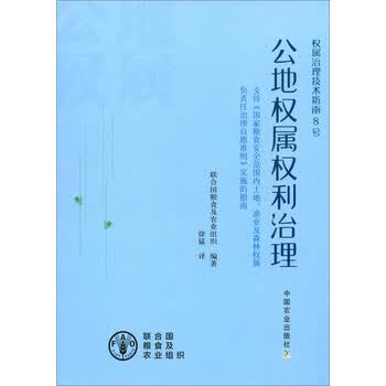 公地权属权利治理