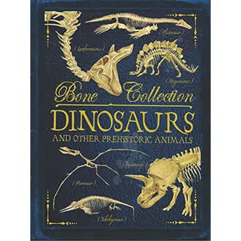Bone Collections: Dinosaurs