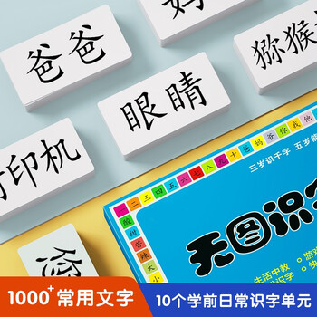 冯式早教词语识字卡 幼儿童认字词组卡片宝宝学前启智3-6岁黑白成语无图全套