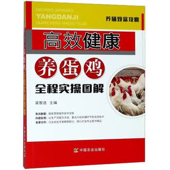 高效健康养蛋鸡全程实操图解