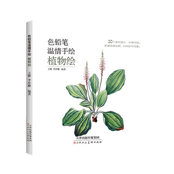 色铅笔温情手绘：植物绘