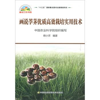 画说荸荠高效优质实用栽培技术