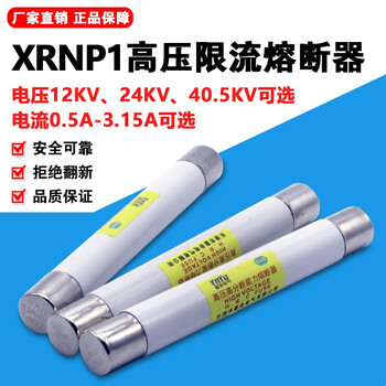 高压高分段能力限流熔断器 XRNP-12-24-40.5KV/0.5-3.15 陶瓷管 XRNP1 24KV 0.5A【图片 价格 品牌 报价】-京东