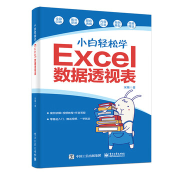 小白轻松学Excel数据透视表(博文视点出品)