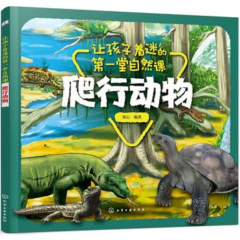 让孩子着迷的第一堂自然课——爬行动物
