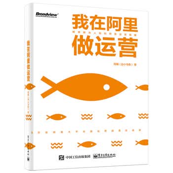 我在阿里做运营(博文视点出品)
