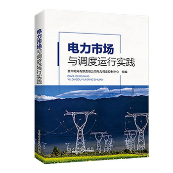 电力市场 与调度运行实践9787519824914