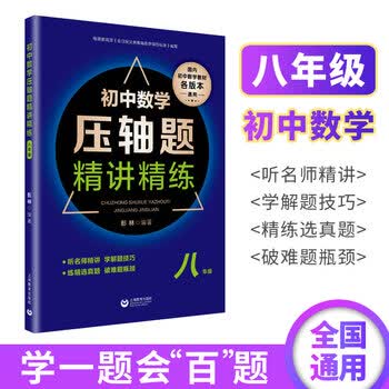 初中数学压轴题精讲精练 八年级 挑战压轴题中考数学 解题技巧思维训练专项突破举一反三 初二尖子生优