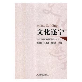 文化遂宁 文化 书籍