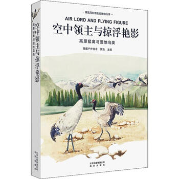 空中领主与掠浮艳影 高原猛禽与湿地鸟类