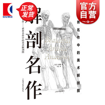 解剖 名作世界名作中的美术解剖图 西方绘画技法经典教程 配视频 上海书画出版社