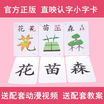 直映认字正版教材卡片有图识字1500字幼儿童早教启蒙认字卡0-3-6岁全脑记忆学龄前儿童象形识字拼音 直映识字卡第4册306字6环