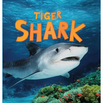 Discover Sharks: Tiger
