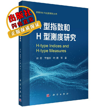 H型指数和H型测度研究