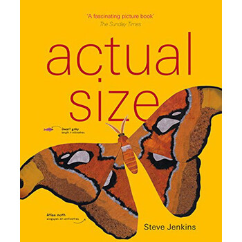 Actual Size