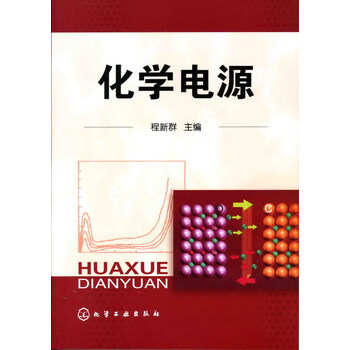 化学电源 程新群 主编