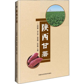 陕西甘薯