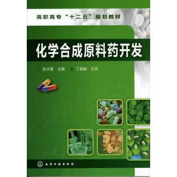 化学合成原料药开发 张文雯 主编