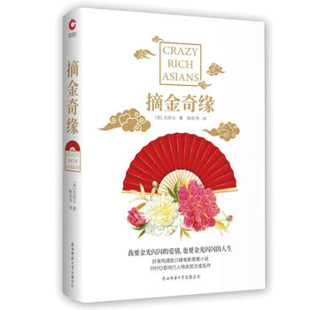 摘金奇缘  文学 书籍