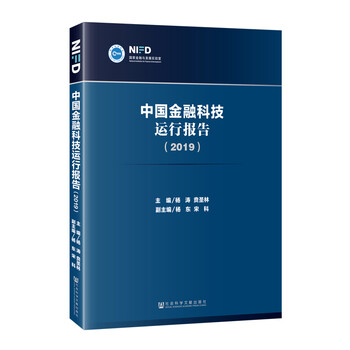 (2019)中国金融科技运行报告