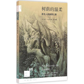 树荫的温柔
