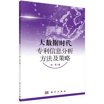 大数据时代专利信息分析方法及策略/孙笑