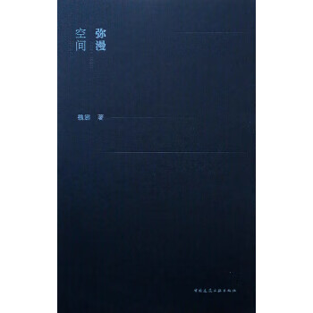弥漫空间 魏娜 著