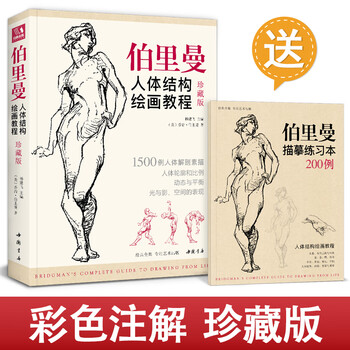 正版 经典全集2019珍藏版【送描摹本】伯里曼人体结构教学 绘画教程 人物速写入门基础绘