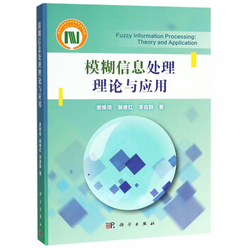 模糊信息处理理论与应用