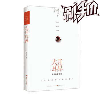 正版包邮 大开耳界 西方流行音乐随笔