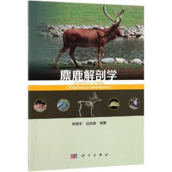 麋鹿解剖学